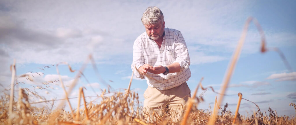 About Us - Glebe Farm