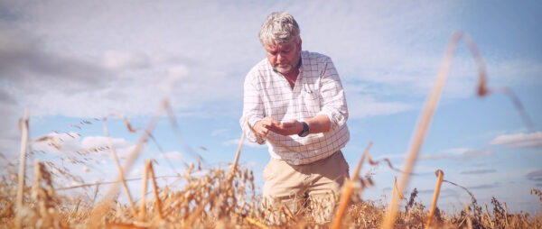 About Us - Glebe Farm